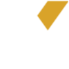 Axon International